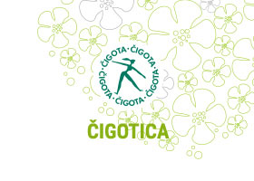 Čigota Zlatibor - specijalna bolnica za bolesti štitaste žlezde i ...